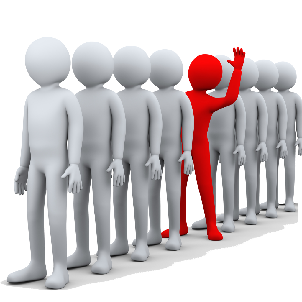 Dynamic Display System – BERDS