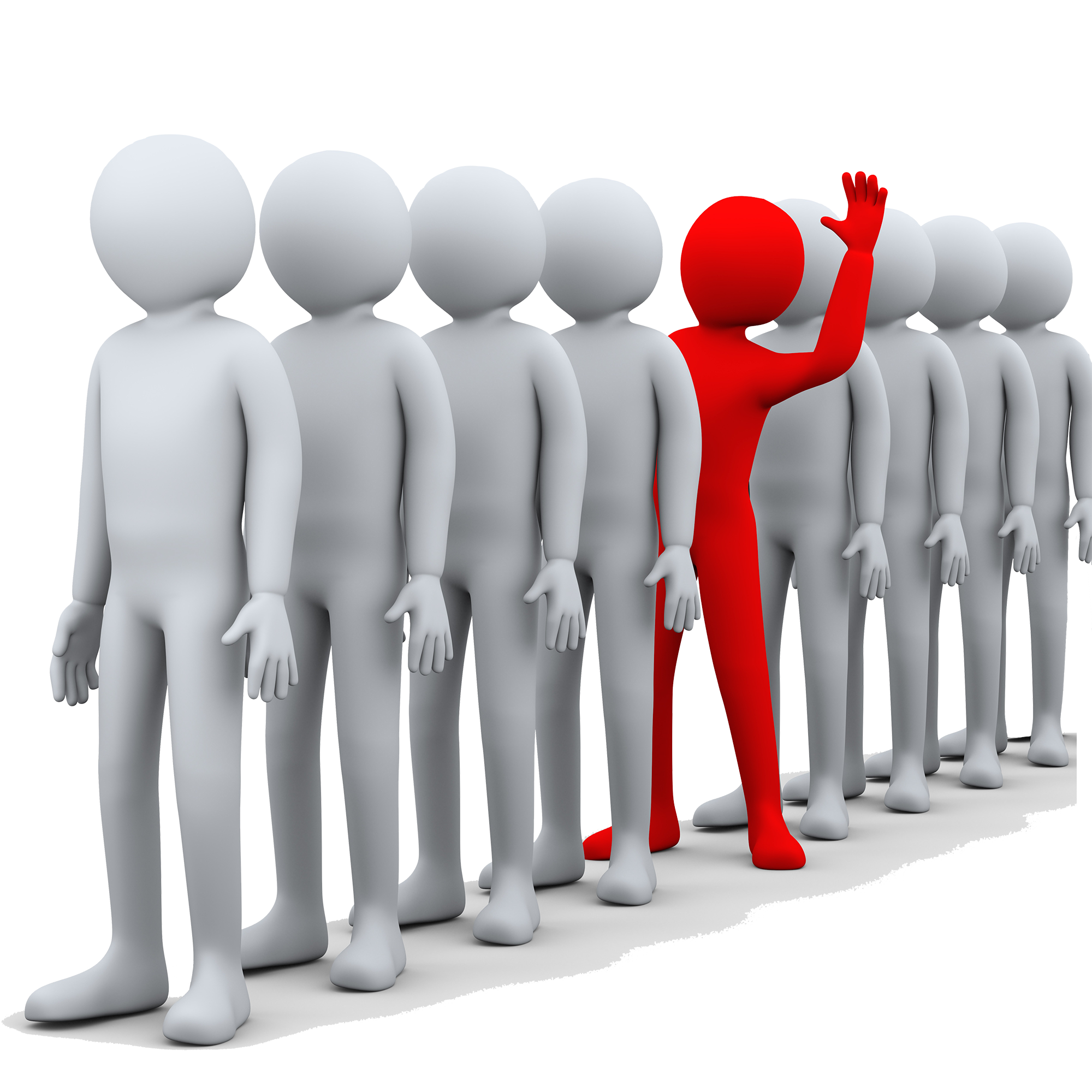 Dynamic Display System – BERDS